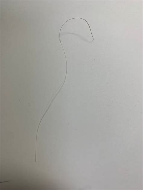 머리카락이 검은색에서 흰색으로 바뀌었어요 지식in