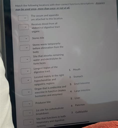 Match The Following Locations With Their Studyx