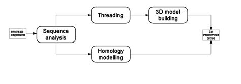 Schematic Representation Of The Structure Prediction Pipeline