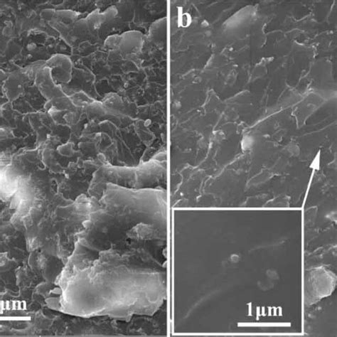 SEM Micrographs Of Fractured Surfaces Of A UV C Al 10 Composites B
