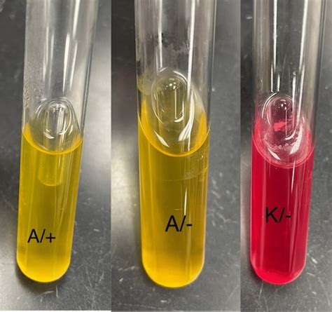 Module 8 Flashcards Quizlet