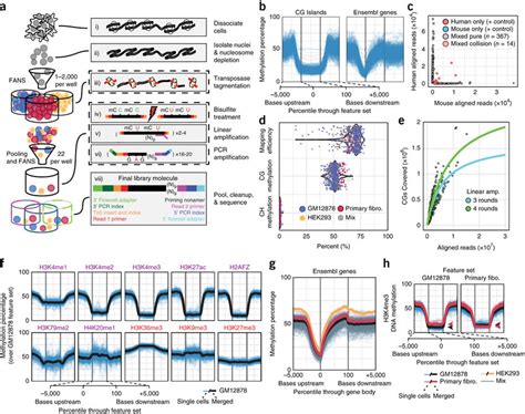 Sci Met Assay And Performance A The Sci Met Workflow B Methylation