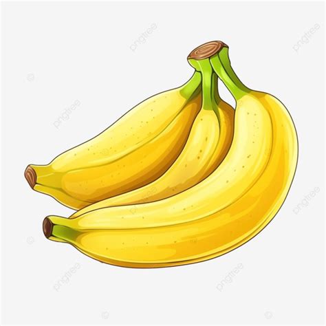 Ilustración De Png De Color De Fruta De Plátano Png Dibujos Arte Obra