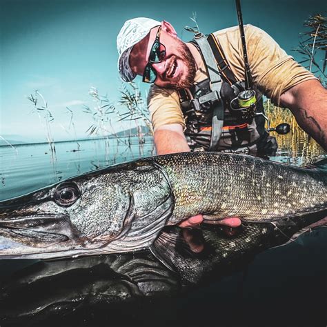 Milenko Herringshad Когато няколко грама разлика са от значение Вчера на утежнен Herring
