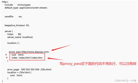 Nginx学习笔记2尚硅谷 极客之音