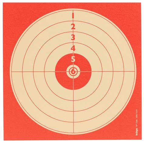 Cible loisir tir air comprimé 14cm X100 KRUGER Decathlon