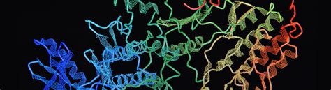 Call For Papers Biomolecular Electrostatic Phenomena Acs