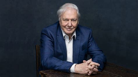 Good News Sir David Attenborough Receives Un Champion Of The Earth