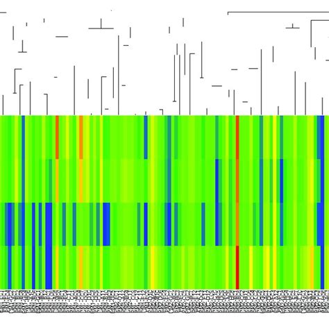 Overview Of Metabolic Phenotypes Of Four Isolates Of Botrytis Cinerea