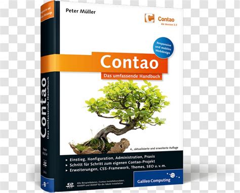 Websites Erstellen Mit Contao Responsive Web Design Flexible Boxes
