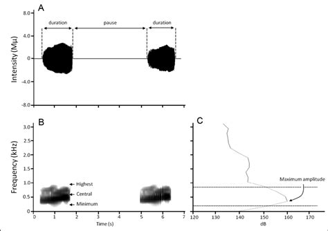 Oscilogram A Spectrogram B And Power Spectrum C Of Mating Calls Download Scientific