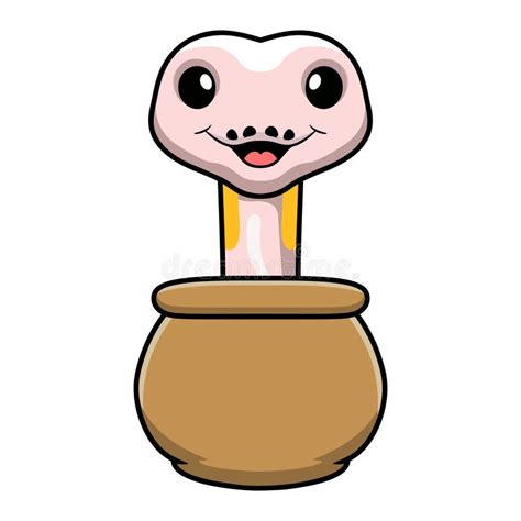 Cute Super Cinnamon Banana Ball Python Cartoon Inside The Sack Stock