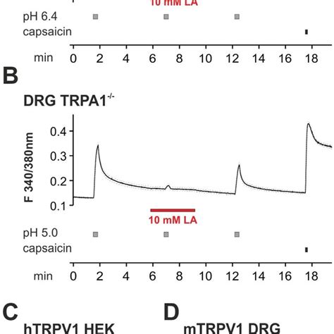 Inhibition Of Trpv1 Mediated Proton Evoked Ca 2 Influx By La A