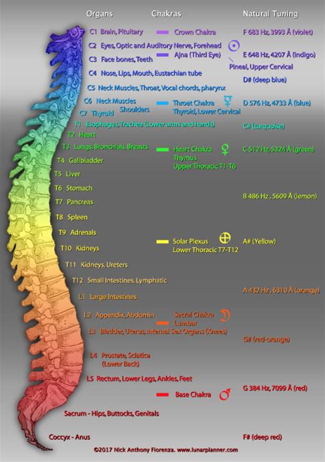 Sound Frequency Chart Hz Healing Fladream Said Is That A Sort Of Music