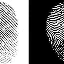 Pattern Matching Download Scientific Diagram