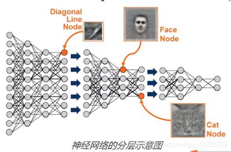 模型微调（finetune）模型微调是什么意思 Csdn博客