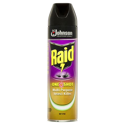 Raid® Flying Insect Killer Odourless 350g Sc Johnson Professional