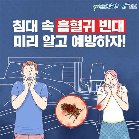 보령시 📣침대 속 흡혈귀 빈대 미리 알고 예방하자 최근 빈대 출몰과 물림사고들이 많아졌는데요😂