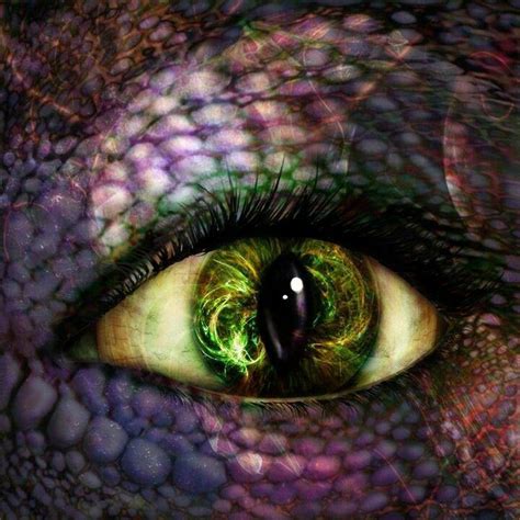 Reptile Eye Reptile Eye Photoshop Eyes Eyes