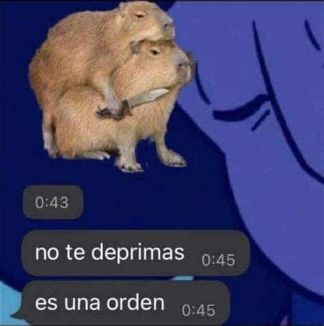 Pendejos No Dura Nada Rmemexico