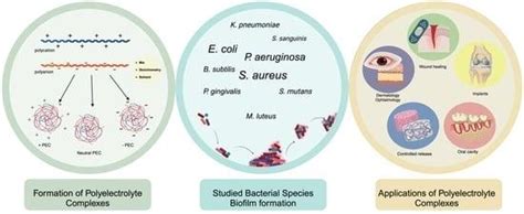 Polyelectrolytes And Polyelectrolyte Complexes As Future Antibacterial Rahaf Alsayyed
