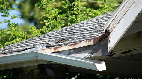 Inside Gutter Problems At Gemma Nock Blog