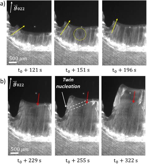 open access dynamic observation of dislocation evolution and