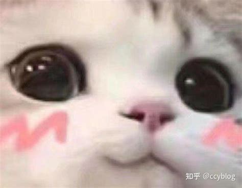 第一篇sci怎么写？ 知乎
