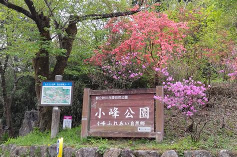 小峰公園 ここが東京 秋川渓谷とその周辺版