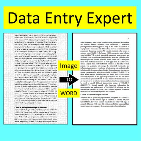 best practices for data entry experts ensuring accuracy and efficiency