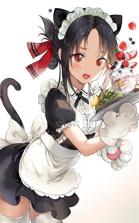 Neko Maid Kaguya Kaguya Sama Love Is War 2500×4000 Ranimewallpaper