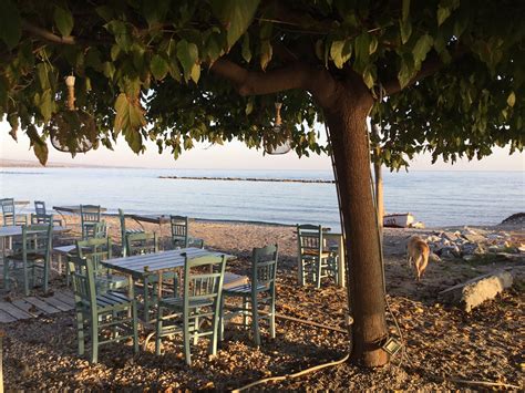 Aleksandar Tortevski On Twitter Едно од поубавите места за утринско кафе Ај добро утро