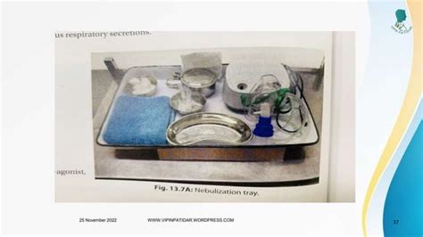 Nebulization Pptx Lung And Respiratory Health Diseases And Conditions