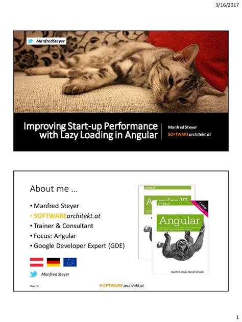 Lazy Loading In Angular Ng Nl 2017 Speaker Deck
