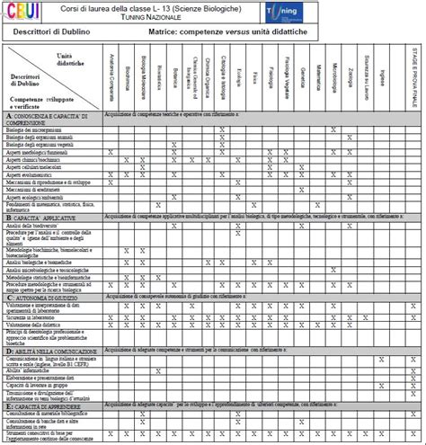 LINEE GUIDA SAPIENZA PER LA COMPILAZIONE DELLA MATRICE DI TUNING DEI CDS