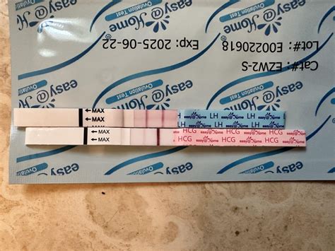 Tracking Hcg To 0 After Mctracking Ovulation Ttc Rlineporn