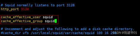Linux Squid 代理服务器linux Squid Csdn博客