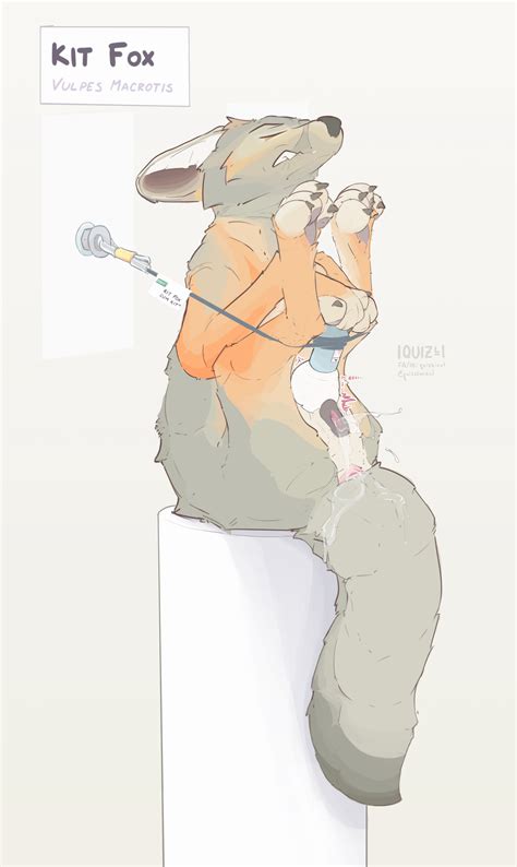 Rule 34 Absurd Res Animal Genitalia Animal Pussy Anus Bite Biting Lip