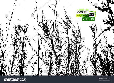 Background Tracing Grass Vector Stock Vector Royalty Free 318579173