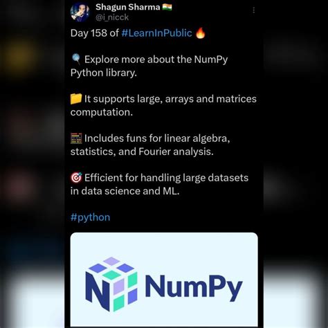 Learninpublic Python Shagun S
