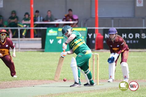 Local Cricket Action Nestles V Allansford Panmure Gold Warrnambool