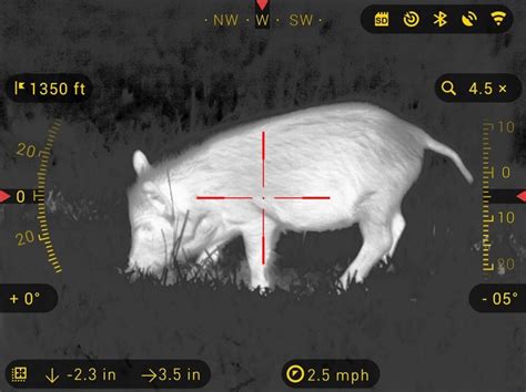 How Does A Rifle Scope Work Everything You Need To Know Upd