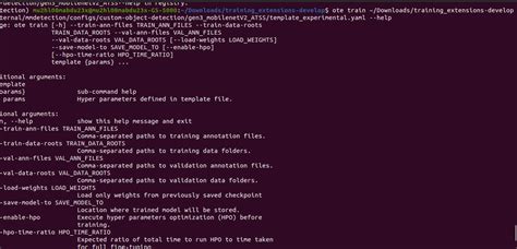 Solved Openvino Custom Model Intel Communities