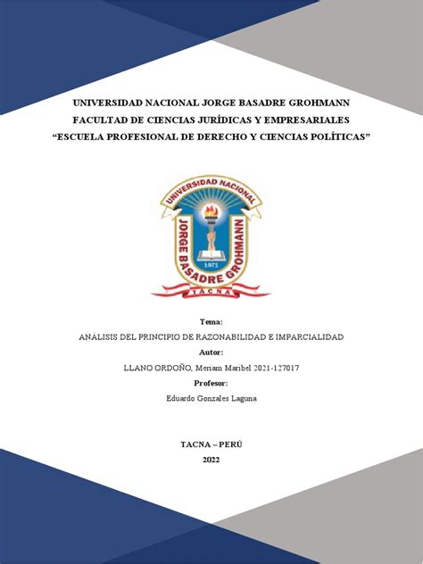 Principio De Razonabilidad Pdf Ley Procesal Gobierno