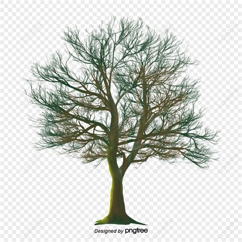 Cartoon Tree Branches Natural Bifurcation Crotch PNG Free Download And Clipart Image For Free