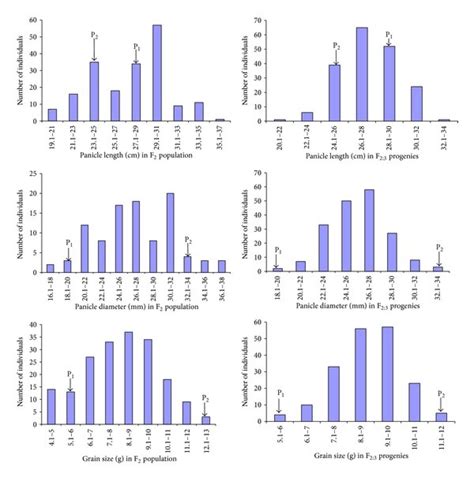 Frequency Distribution For Sink Size Traits In The F2 And F2 3 Mapping Download Scientific