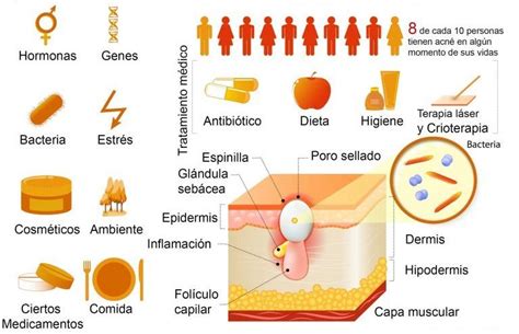 CIFES