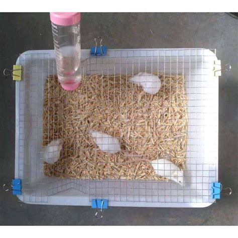 Rat Cage Breeding Group Drinking Bottle Pp Large Cage Box Mouse