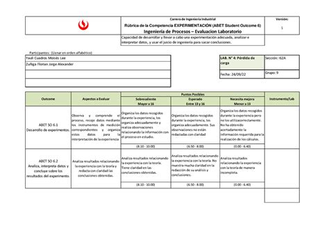 Guía Laboratorio N4 Pérdida de carga Ingeniería de Procesos 16 5