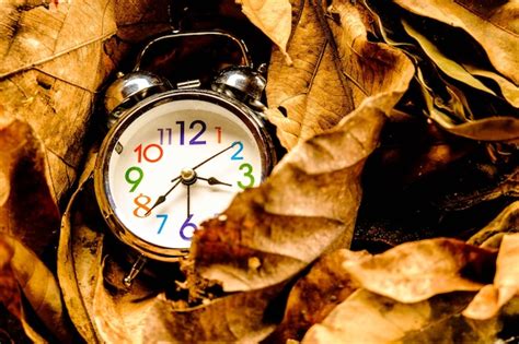 Premium Photo Alarm Clock On Dry Leaf Vintage Style